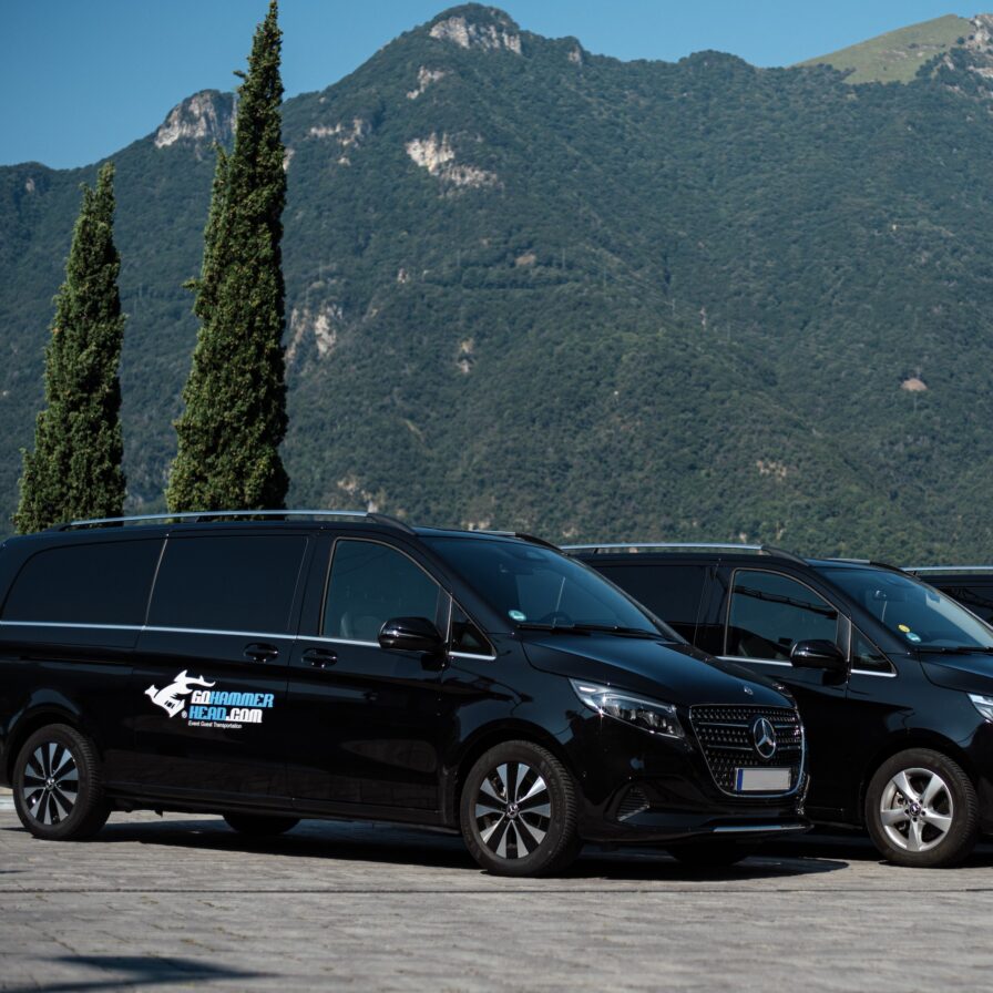 VIP Transportation - GoHammerhead